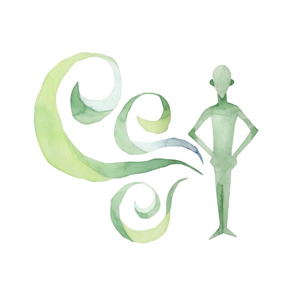 アーユルヴェーダのドーシャについて | YuRuMu's ブログ