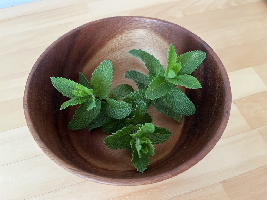 湿度が嫌なの、ペパーミントアロマオイルと活用方法 | YuRuMu's ブログ